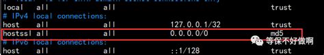 等保2 0测评 PostgreSQL 数据库上 CN SEC 中文网