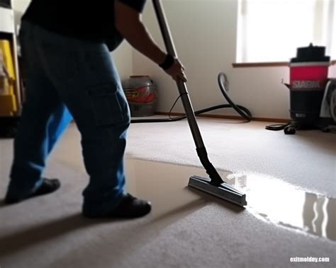 A Comprehensive Guide To Navigating Cleanup After A Flood Exit Mold