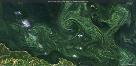 Sentinel Hub Posted On Linkedin