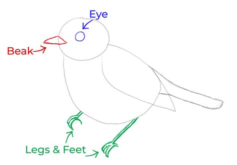 How To Draw A Bird Design School How To Draw A Bird Design School