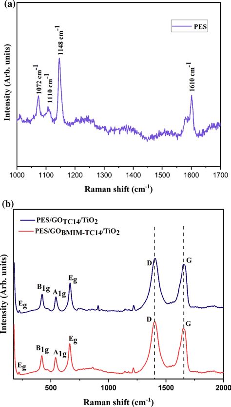 Micro Raman Spectroscopy Of The Fabricated Nf Membranes A Pristine