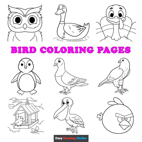 Printable Bird Coloring Pages