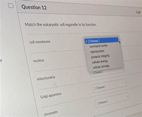 Solved Match The Eukaryotic Cell Organelle To Its Function