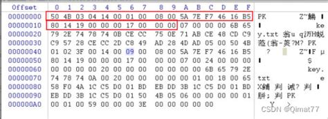 ctf实战总结 杂项 压缩包 504b0708 csdn博客