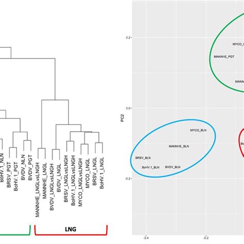 A Hierarchical Cluster Tree And B Principal Component Analysis Of Download Scientific