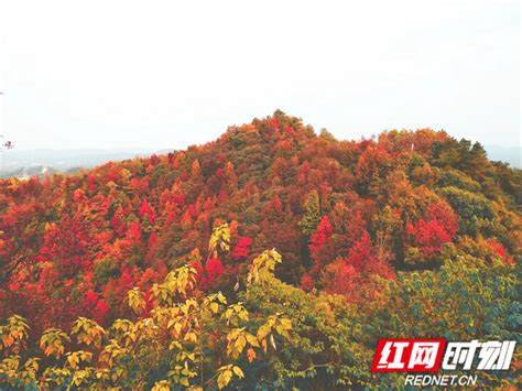 晨光下多彩的昭山一线传真岳塘经开区