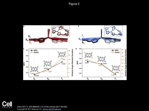 Unraveling Excited Singlet State Aromaticity Via Vibrational Analysis
