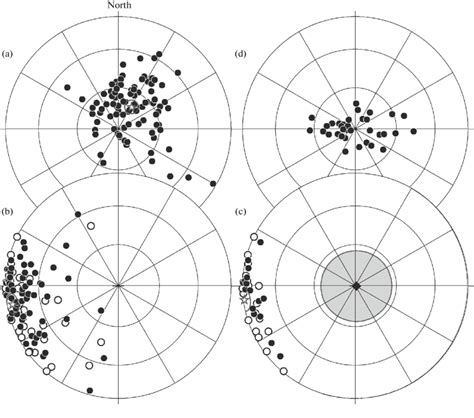Component Content And Pattern Of Distribution Of Magnetization Vectors