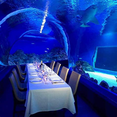Cairns Aquarium Business Events Cairns