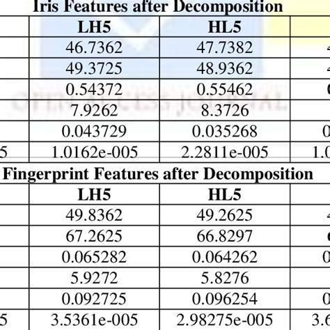 Fusion Levels And Methods Performance Download Scientific Diagram