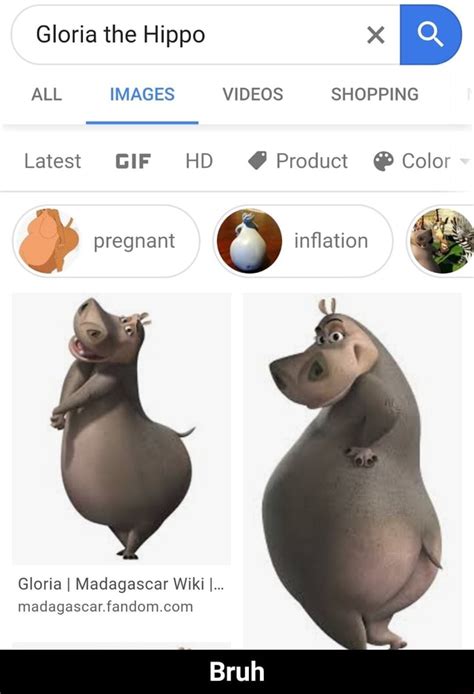 Gloria The Hippo X E Pregnant O Inflation Gloria I Madagascar Wiki I