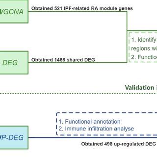 Differentially Expression Analysis Of GSE93272 And GSE93606 A