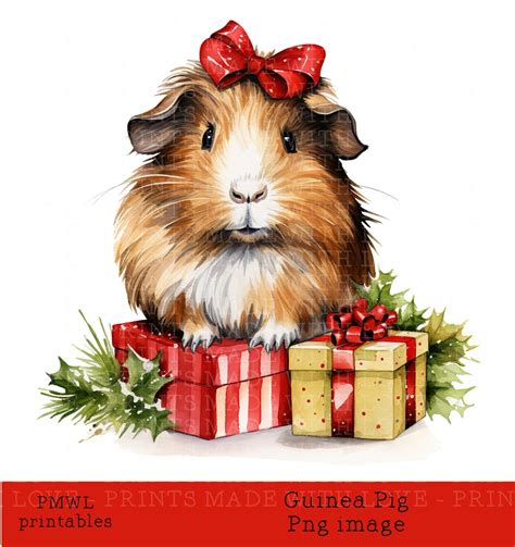 Christmas Guinea Pig Clipart Sublimation Design Cavy Sublimation Image Small Commercial Use Card