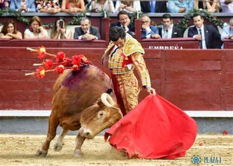 Le Tu Polla Mundotoro