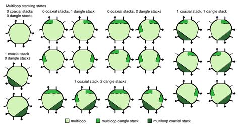 Definitions NUPACK 4 0 User Guide