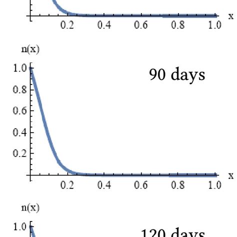 Kinetics Of The Neutrons Density During The Wave Nuclear Burning In