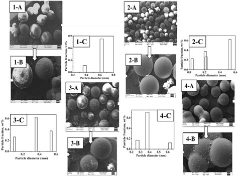 Sem Micrographs And Histograms Of Polymers Prepared At Different Download Scientific Diagram