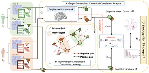Brain Cognition Fingerprinting Via Graph Gcca With Contrastive Learning Ai Research Paper Details