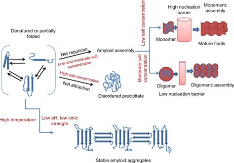 Nanoparticles In Relation To Peptide And Protein Aggregation