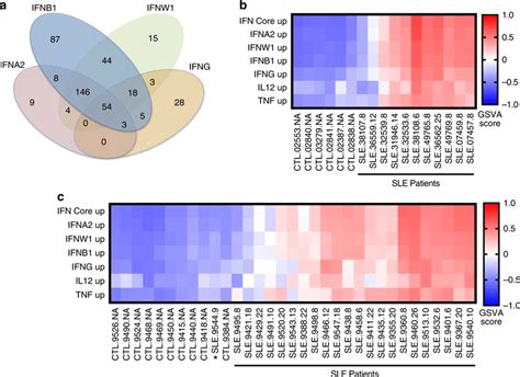 Ifn Subtype Signatures Separate Sle Patients From Controls A Venn