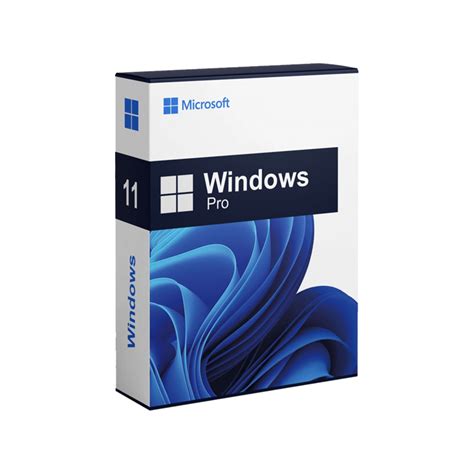 Windows 11 Pro Box