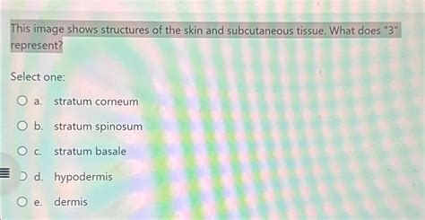 Solved This Image Shows Structures Of The Skin And Chegg