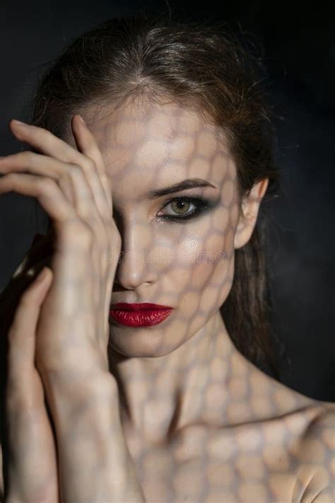 253 Hexagonal Model Stock Photos Free Royalty Free Stock Photos