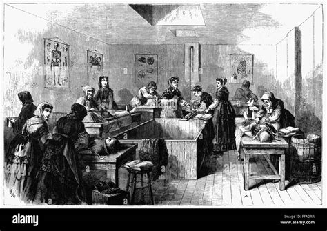 New York Medical College Nthe Main Dissecting Room Of The Medical
