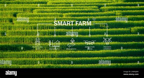Cutting Edge Smart Farm Technology Meets Professional Expertise