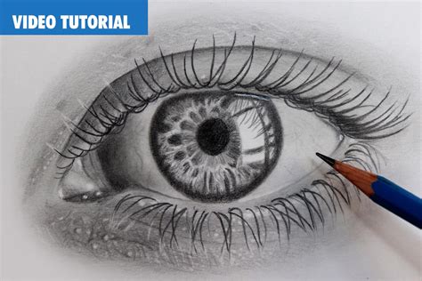 How To Draw A Realistic Eye Beginner