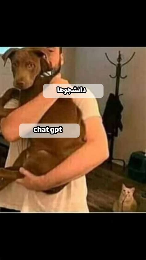 ‎🍃دورهمی صمیمی دانشجوها🍃‎ ‎دلتون تنگ نشده بود؟😎 من که خیلی دلم تنگ بود😄 دانشگاه شهید بهشتی