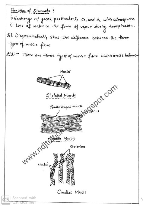 Tissue Class 9th Science Handwritten Notes