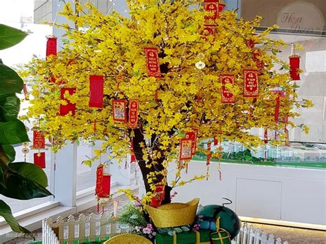 Trang Trí Cây Mai Giả Ngày Tết ấn Tượng Hãy Xem Ngay 5 Cách Sau Hoa Decor