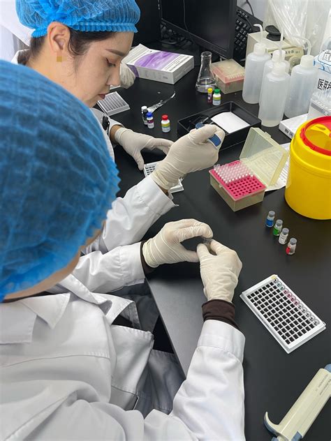 增强检测能力 提升检测质量—温宿县疾控中心举办艾滋病检测点检测技术培训班 改革网