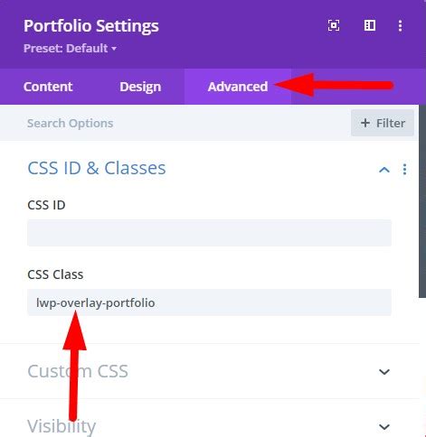 Show Title On Hover In Divi Portfolio Module LearnHowWordPress