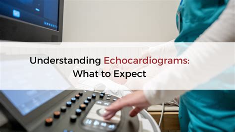 Echocardiograms What To Expect Modern Heart And Vascular