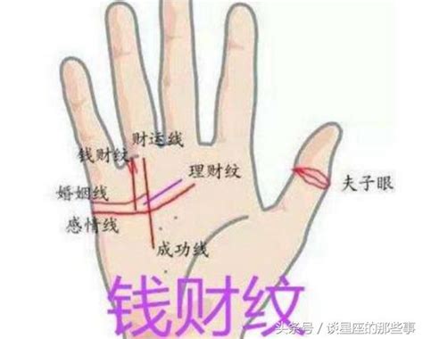 手有此類紋路，今生定是「金運滿載」，福貴命格！ 每日頭條