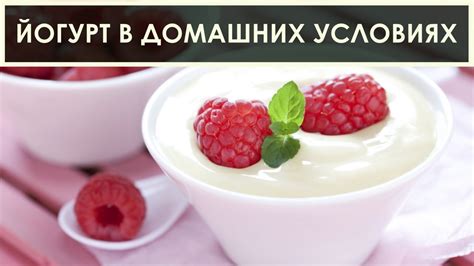 Как сделать йогурт в домашних условиях без закваски рецепт Youtube
