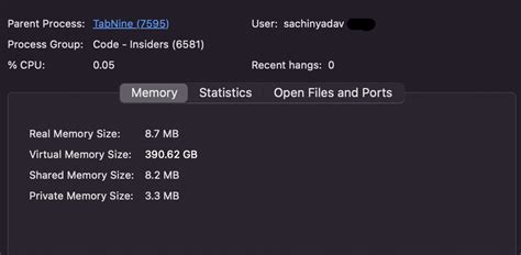 What Is This Virtual Memory For The Applications On Macos Ask Different
