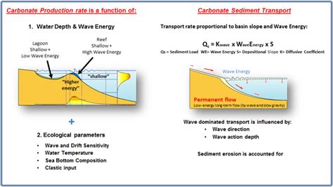 Carbonate Production And Transport Download Scientific Diagram