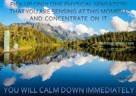 The Reintegration System You Can Calm Down Your Mind Immediately Check Out This Simple