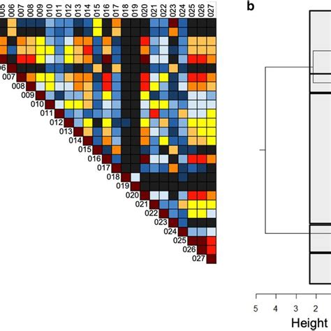 Dissimilarity And Cluster Dendrogram Dissimilarity Matrix A Calculated