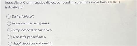 Solved Intracellular Gram Negative Diplococci Found In A
