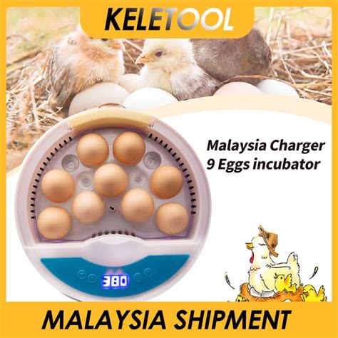 Smart Mini Hatcher Incubator 9 Egg Incubator Automatic Poultry Hatching