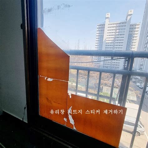 유리 시트지 스티커 제거 방법 다이소 스크래퍼 네이버 블로그