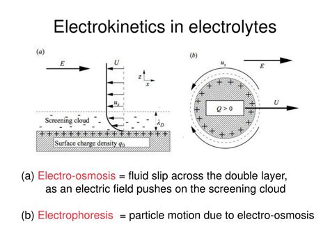 Ppt Induced Charge Electrokinetic Phenomena Powerpoint Presentation Free Download Id4359714