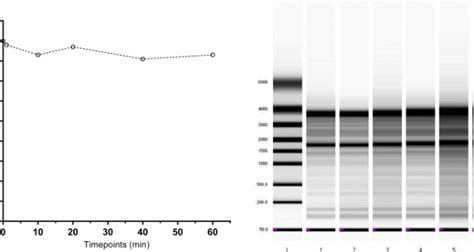 RNA Quality RNA Seq Blog