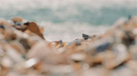 O Foco Das Ondas Do Mar Na Praia Conchas Filme Vídeo de céu