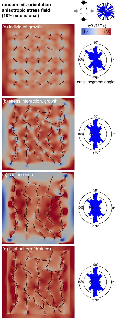 Time Series And Rose Plots Of The Fracture Network Evolution For Random