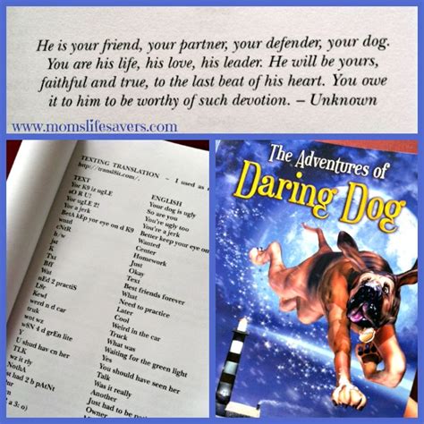 The Adventures Of Daring Dog Moms Lifesavers
